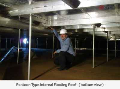 Pontoon Type Internal Floating Roof - Flame Arresters And Explosion ...
